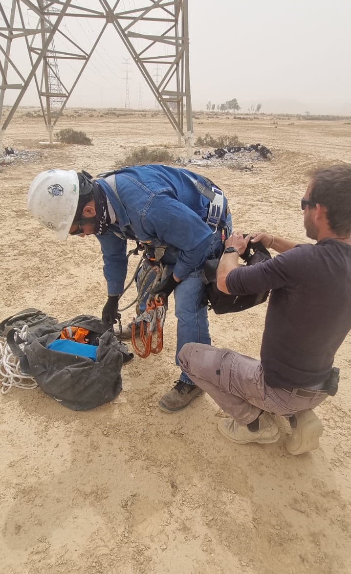 פרחון בז מצוי שנפל מהקן הוחזר בסיוע עובדי חברת החשמל - רשות הטבע והגנים